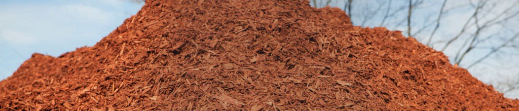 Wood Products Manufacturer Careers | BC Wood Products